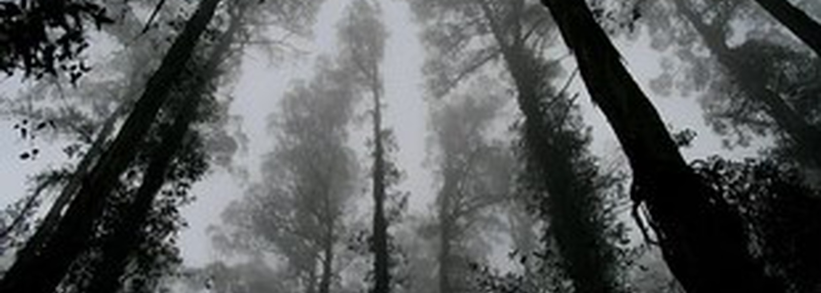 投稿一覧｜EvilLover｜pixivFANBOX